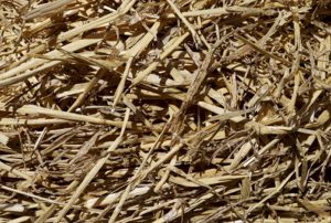 Hay & Straw - Hunter Premium Produce
